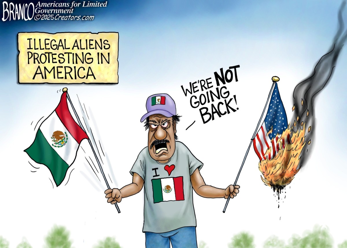 The Latest Political Cartoons From A.F. Branco | Light Wave