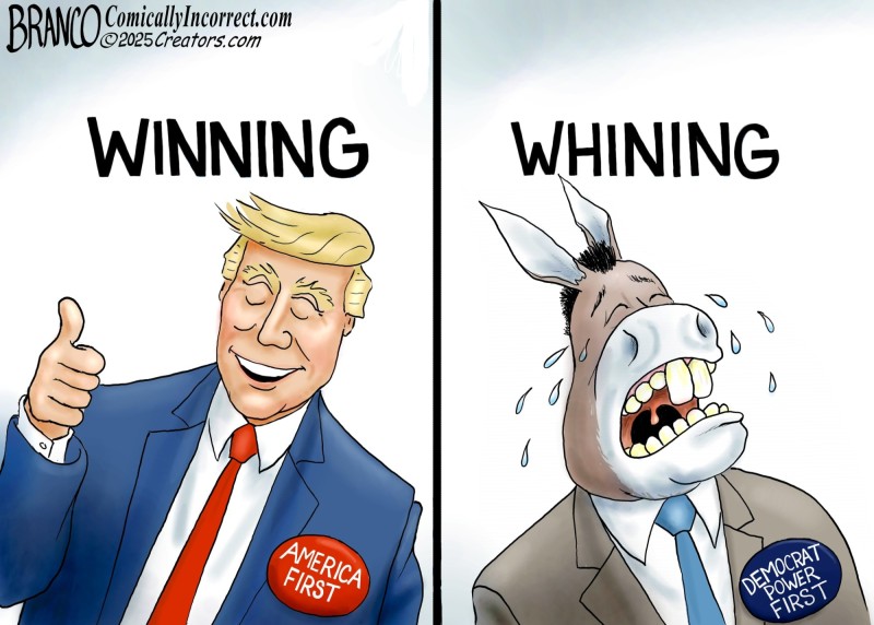 The Latest Political Cartoons From A.F. Branco | Light Wave