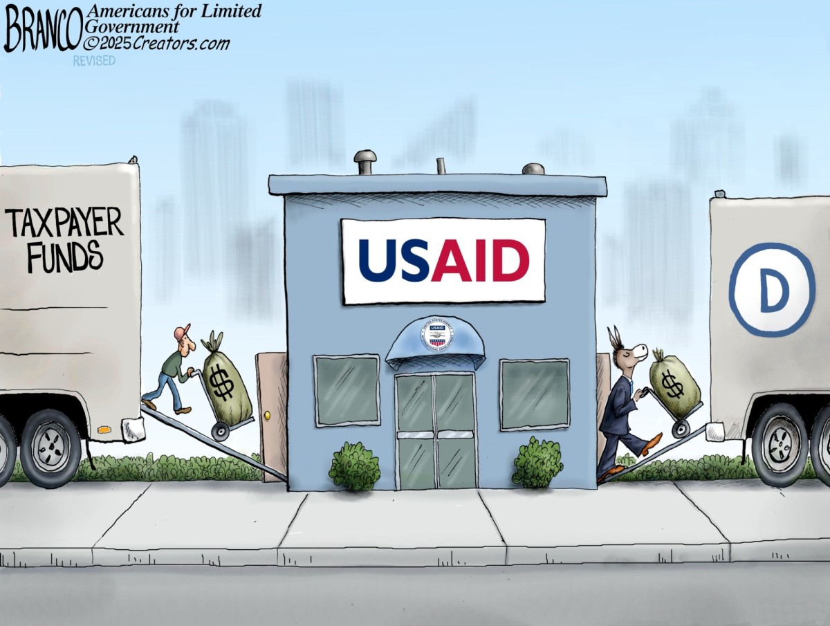 The Latest Editorial Cartoons From The Creators Syndicate | Light Wave