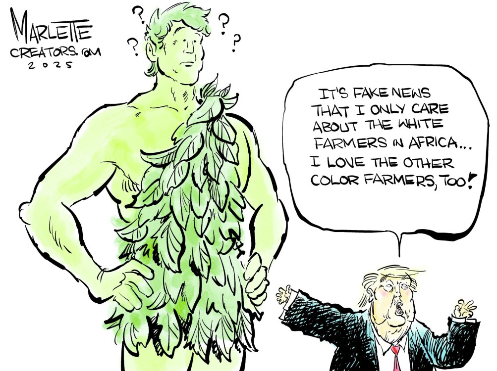 The Latest Political Cartoons From Andy Marlette | Light Wave