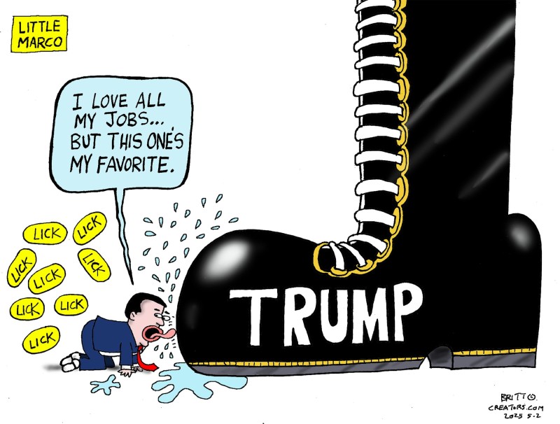 The Latest Political Cartoons From Chris Britt | Light Wave