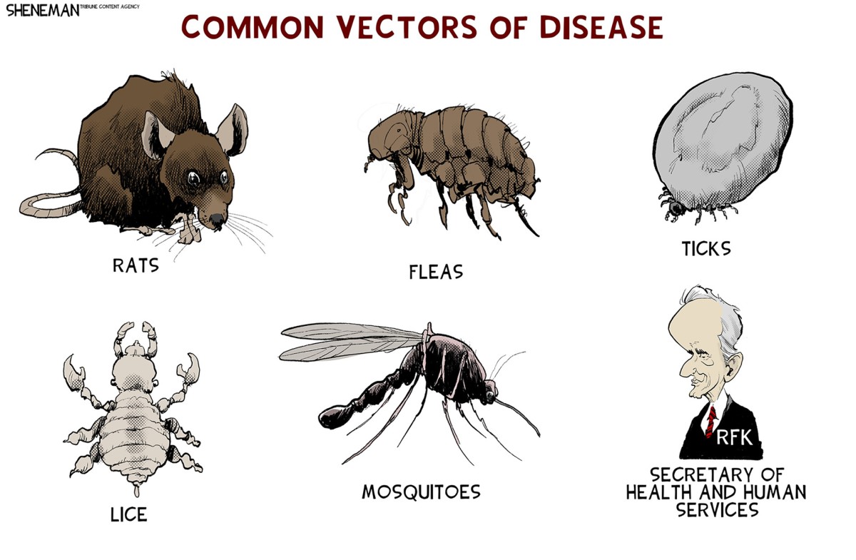 The Latest Political Cartoons From Drew Sheneman | Light Wave
