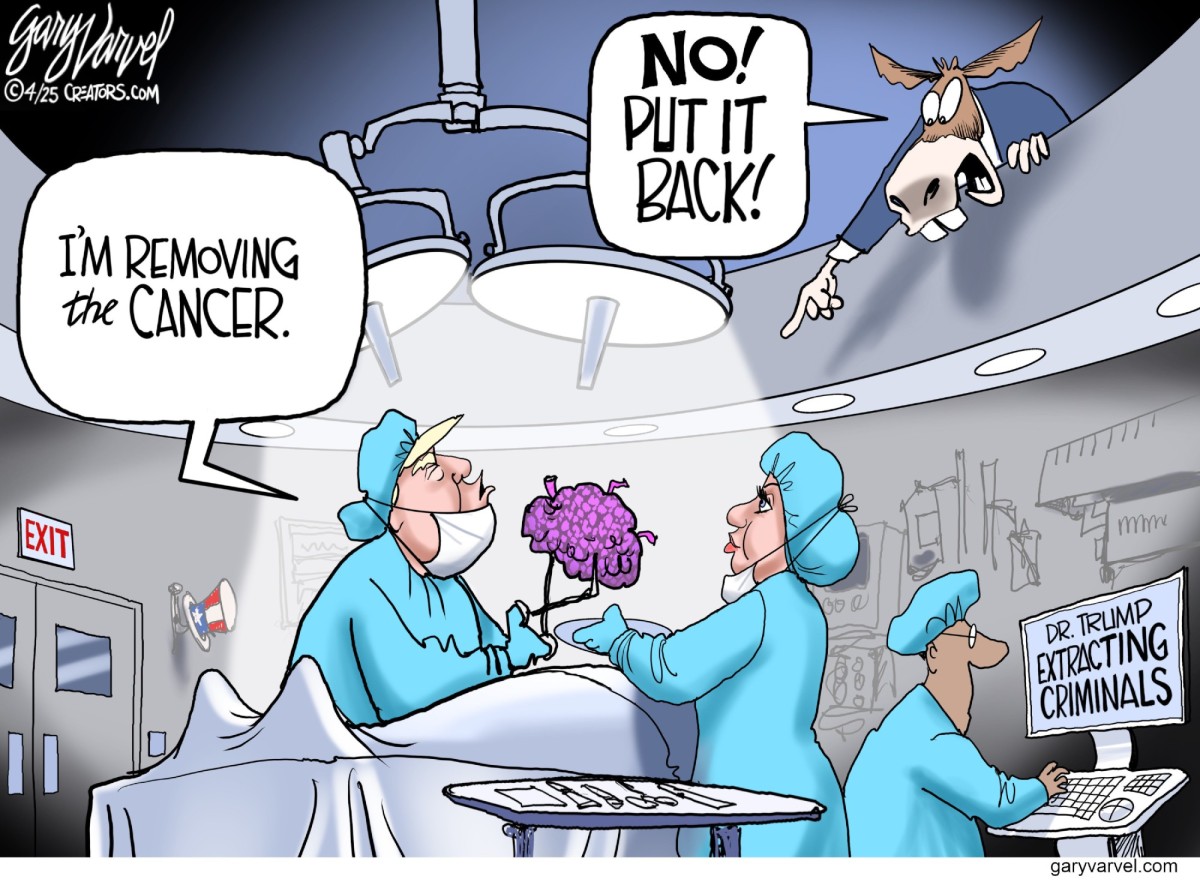 The Latest Cartoons From Gary Varvel | Light Wave