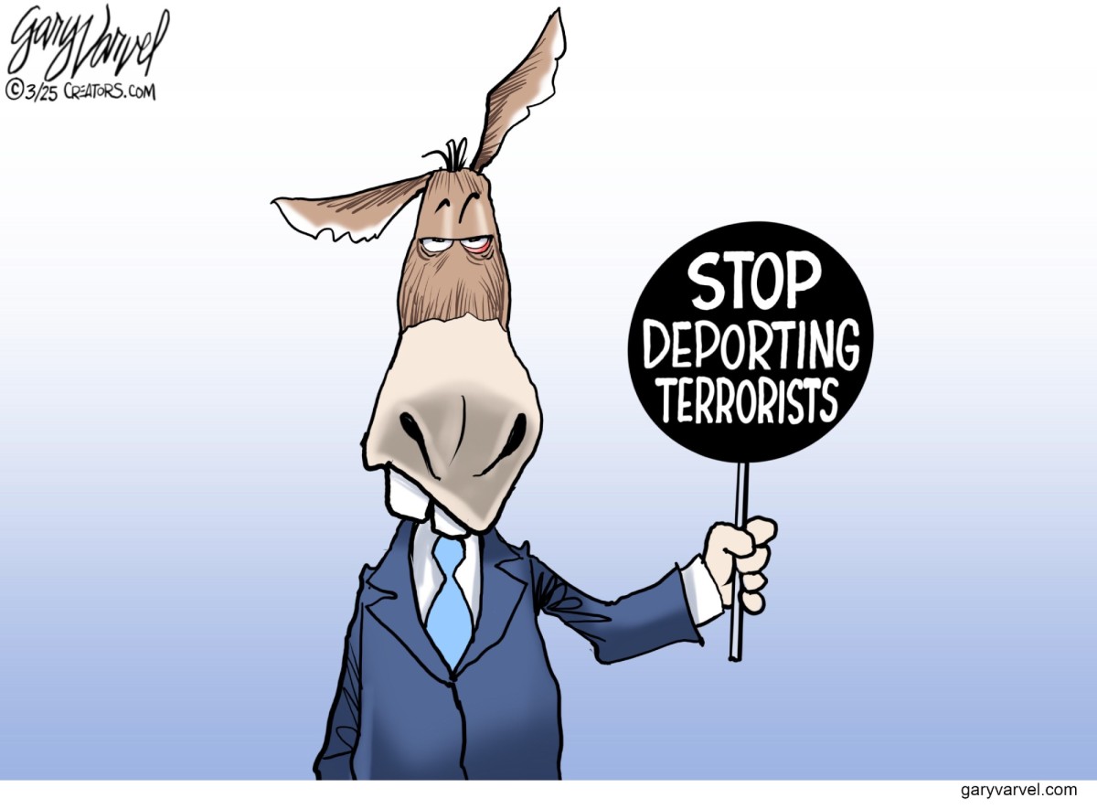 The Latest Cartoons From Gary Varvel | Light Wave