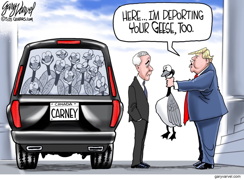 The Latest Editorial Cartoons From Gary Varvel | Light Wave