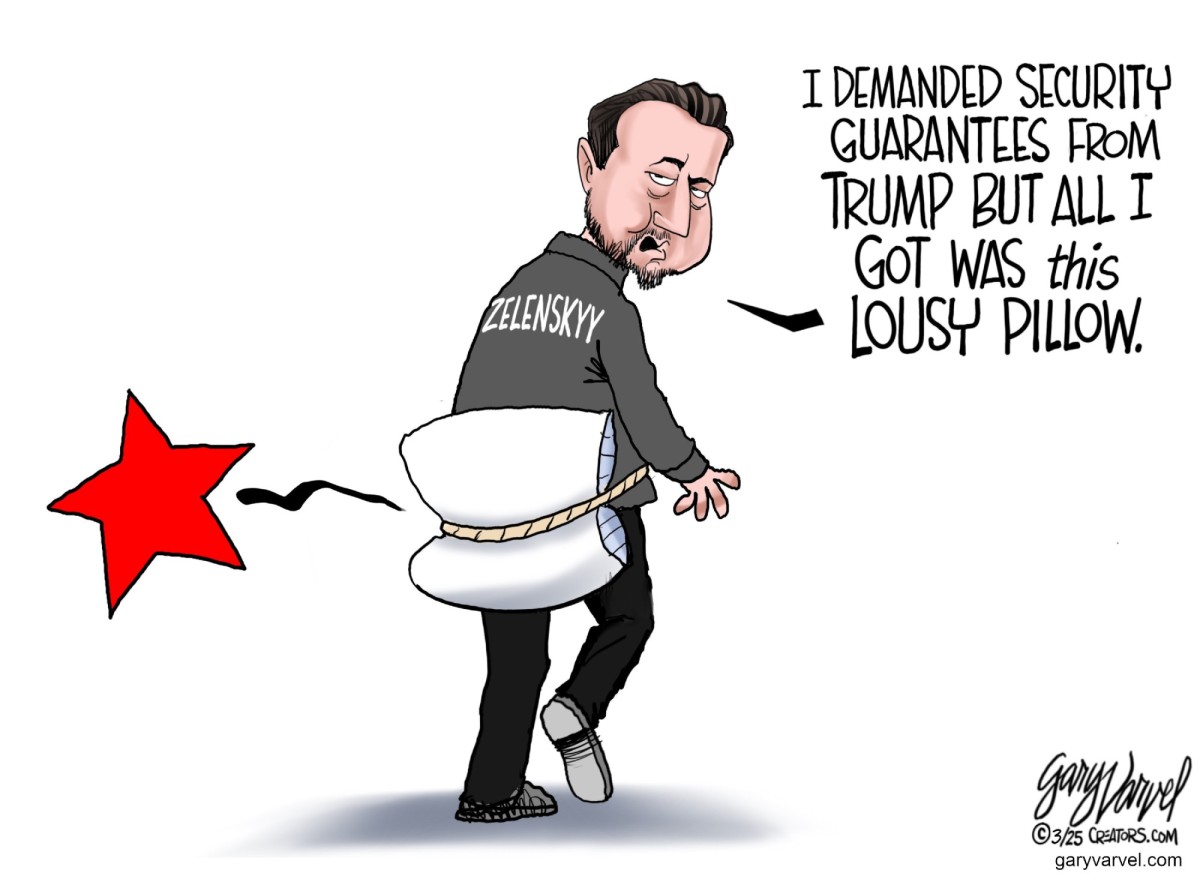 The Latest Editorial Cartoons From Gary Varvel | Light Wave