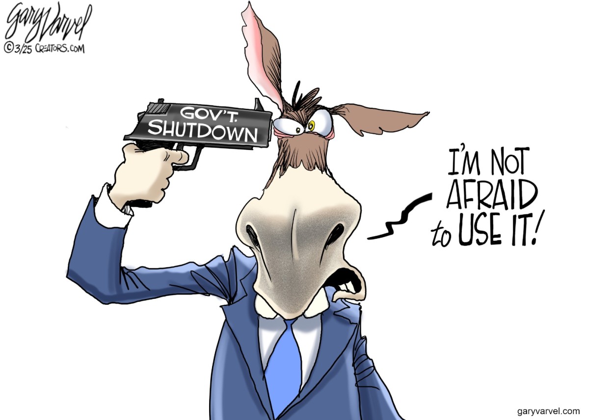 The Latest Editorial Cartoons From Gary Varvel | Light Wave