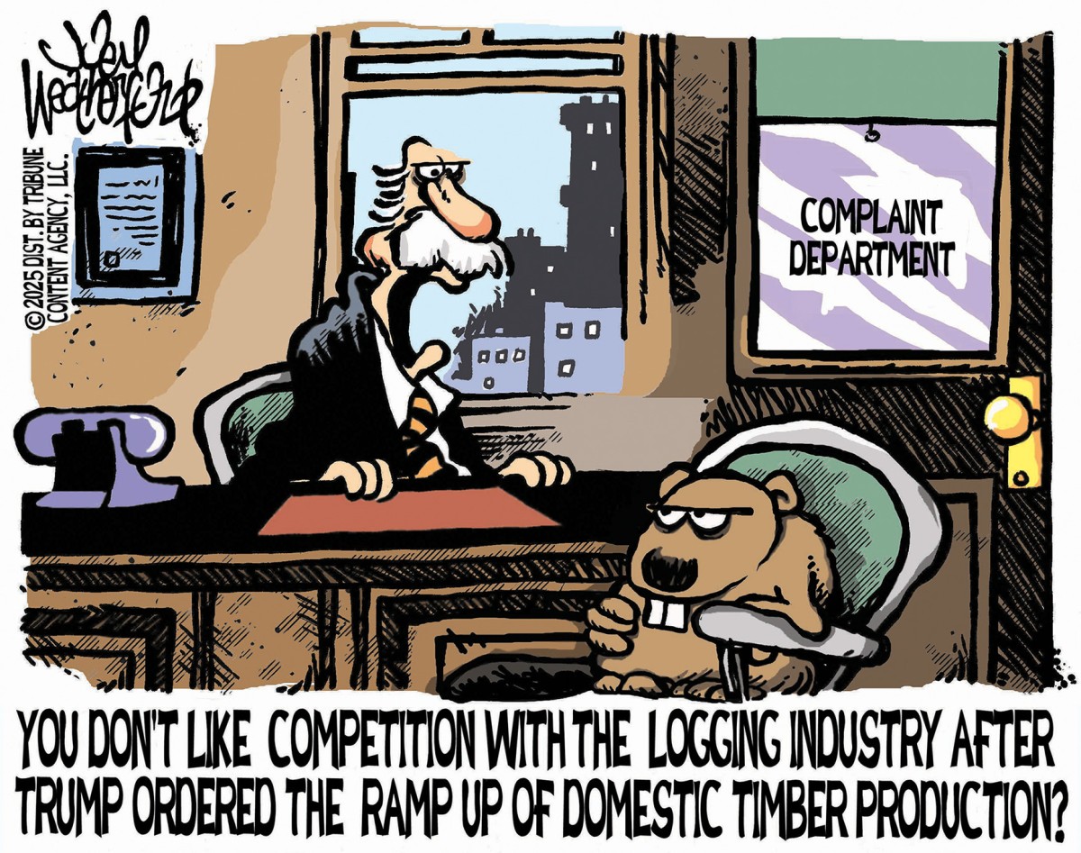 Political Cartoons From Joey Weatherford | Light Wave