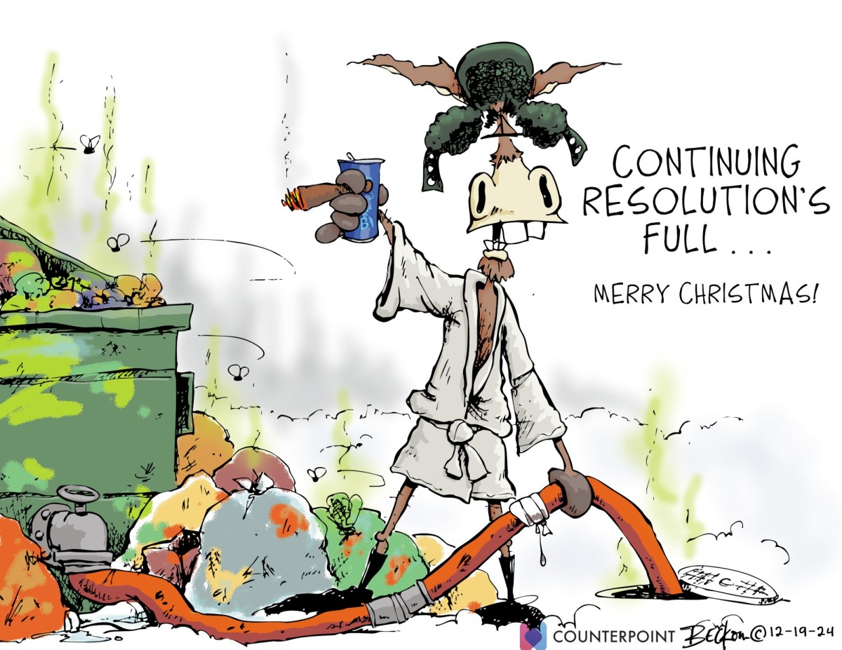 The Latest Editorial Cartoons From Mike Beckom | Light Wave