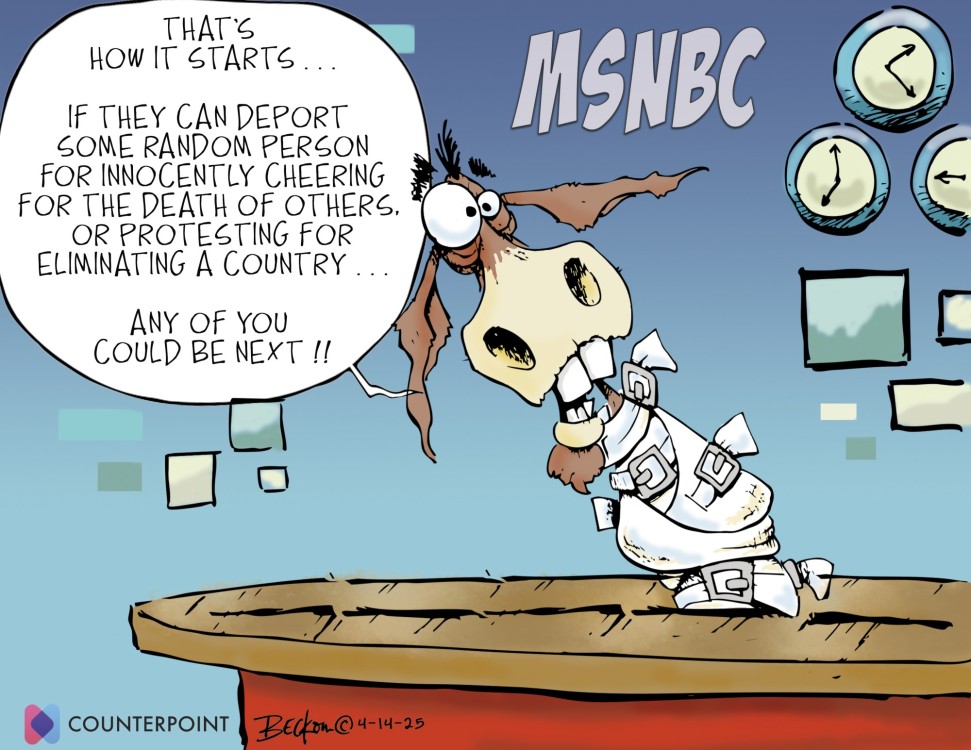 The Latest Political Cartoons From Mike Beckom | Light Wave