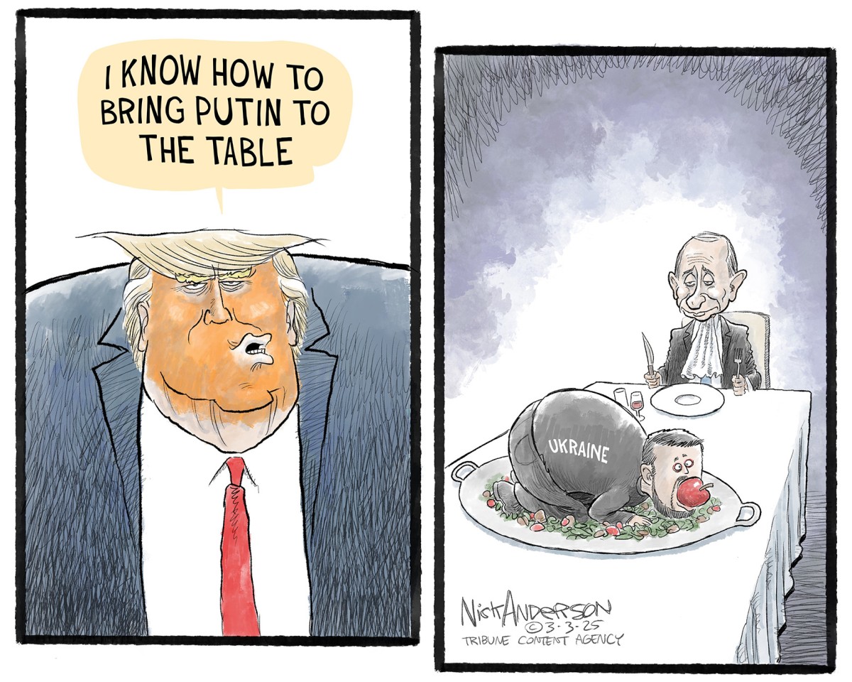 The Latest Political Cartoons From Nick Anderson | Light Wave