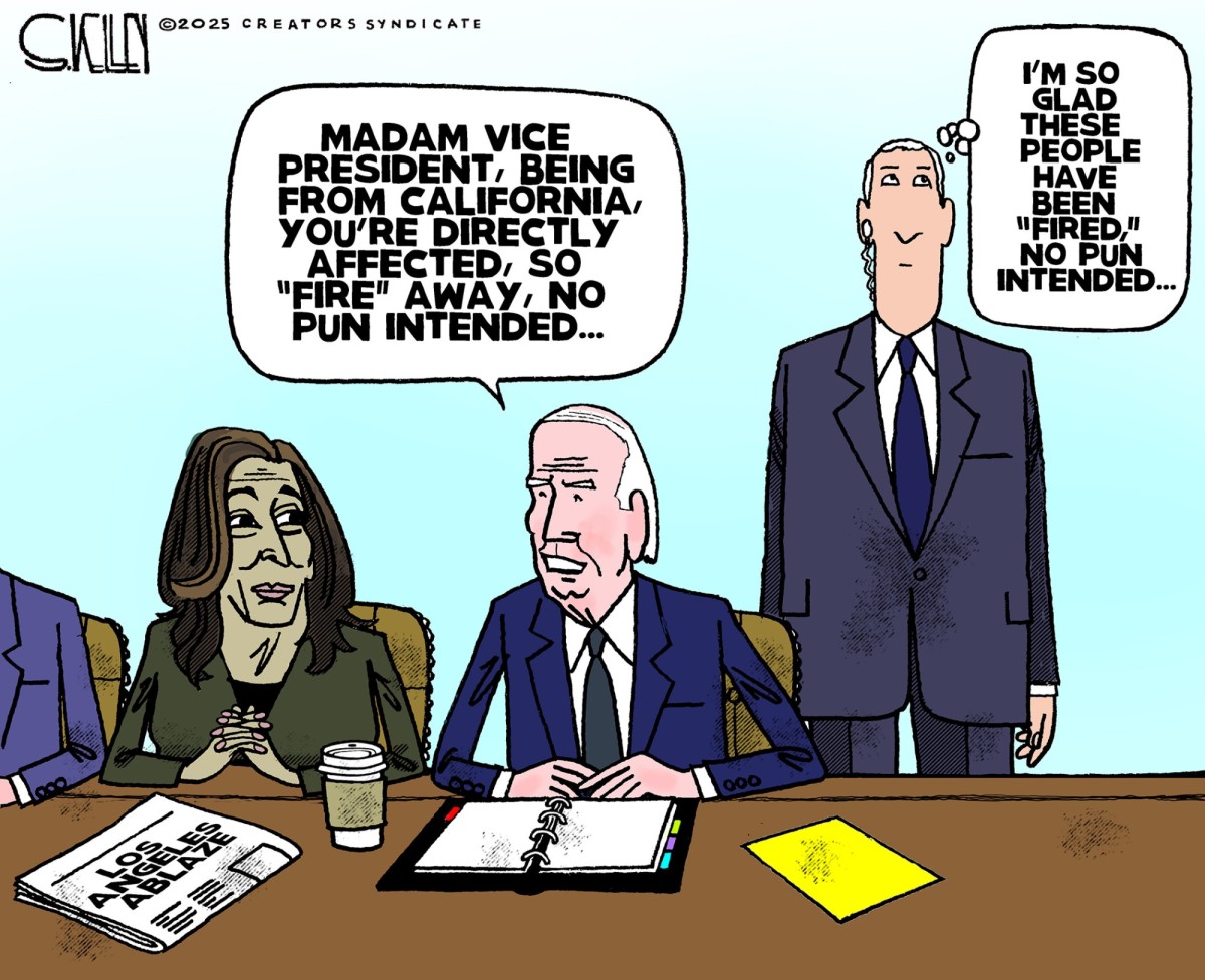 The Latest Political Cartoons From Steve Kelley | Light Wave