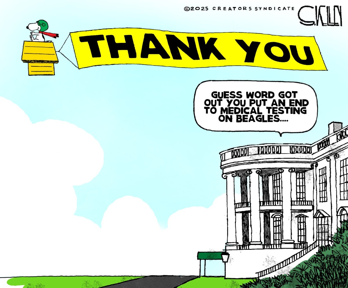 The Latest Political Cartoons From Steve Kelley | Light Wave