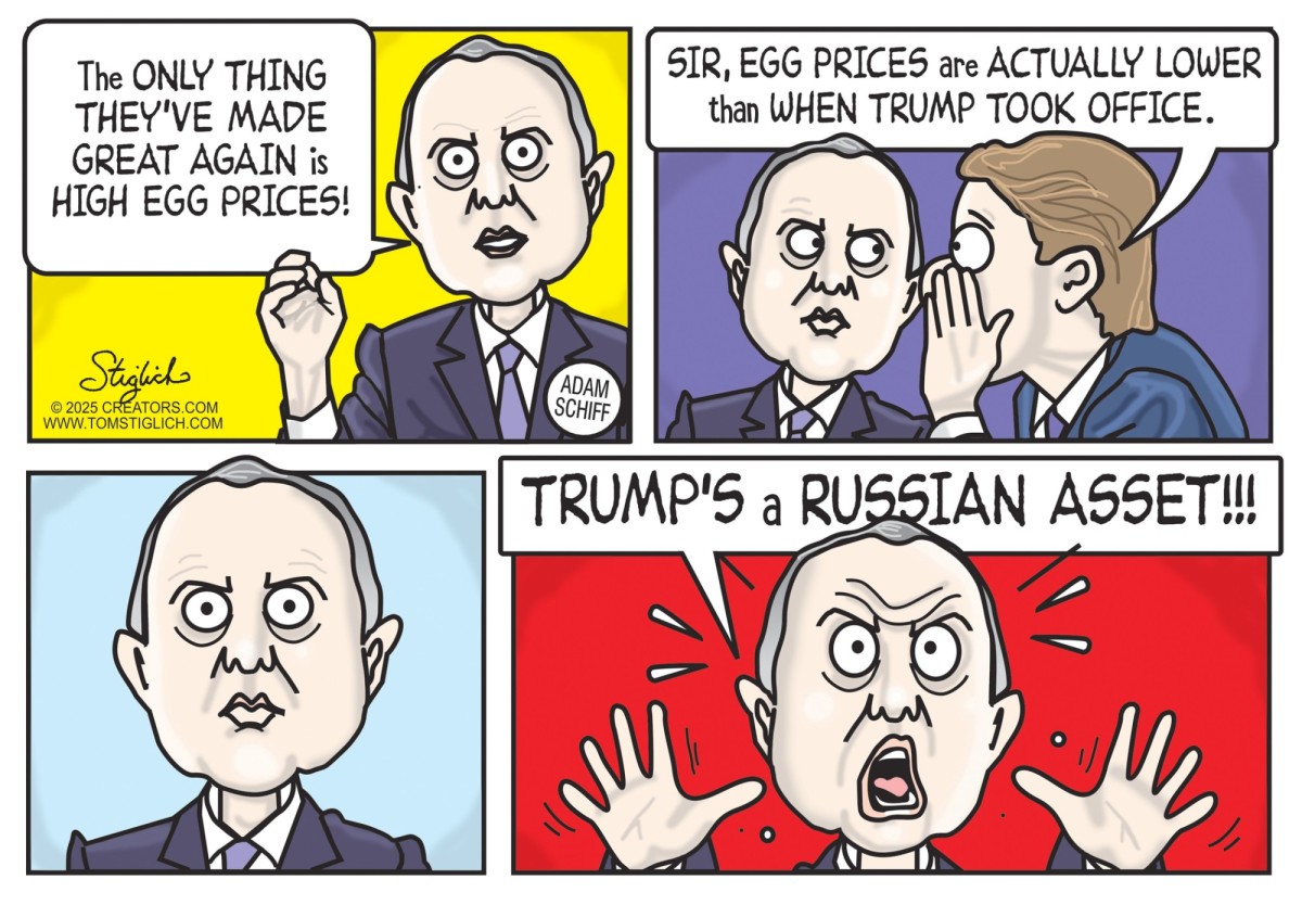 The Latest Editorial Cartoons From Tim Stiglich | Light Wave