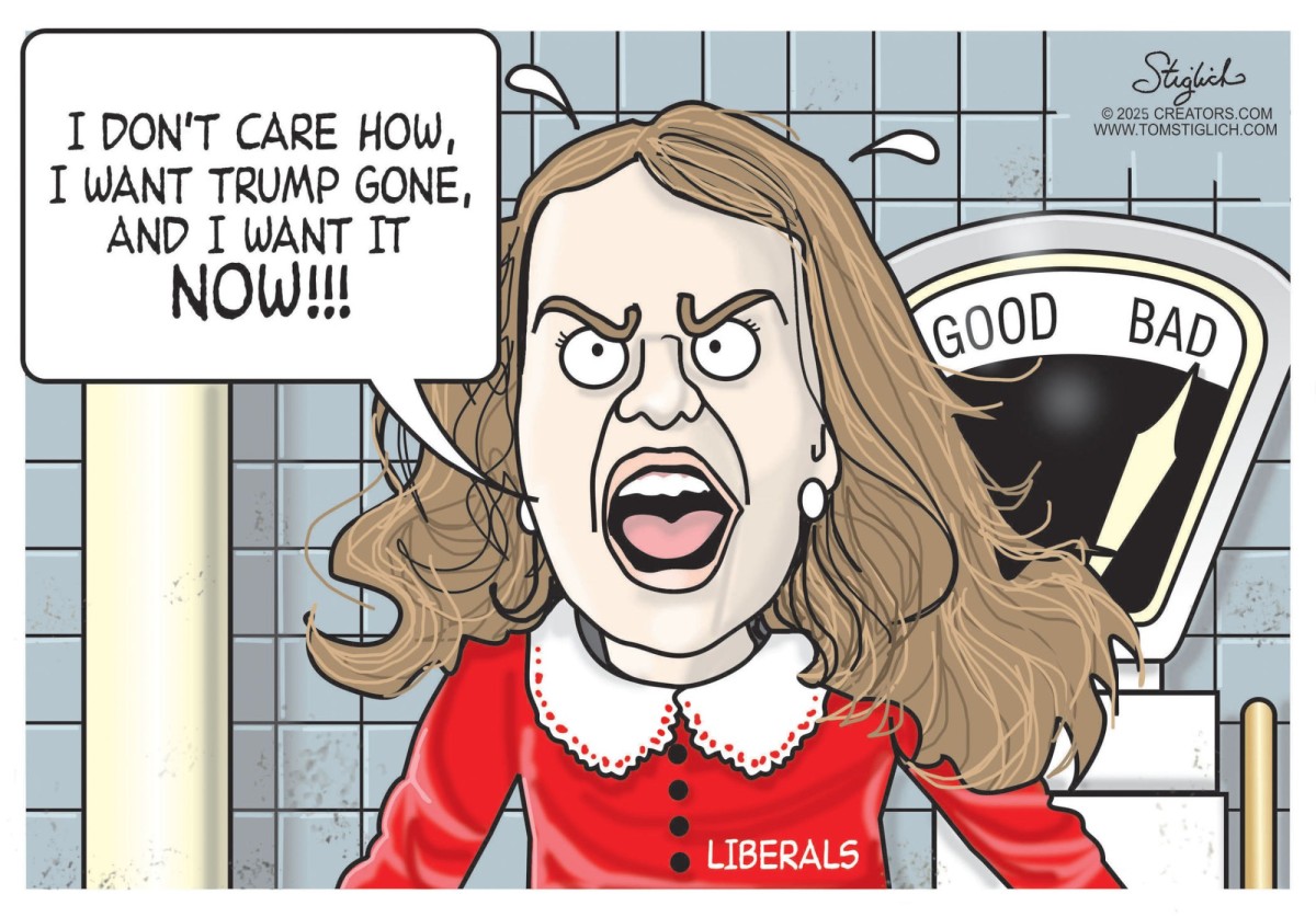 The Latest Political Cartoons From Tom Stiglich | Light Wave