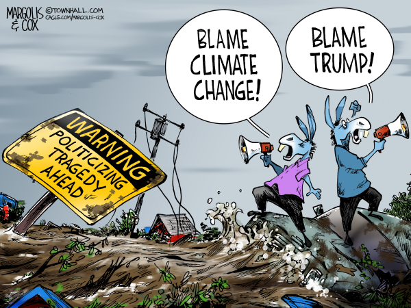 Today's Best Editorial Cartoons From Cagle | Light Wave