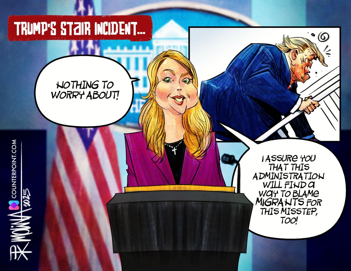 Today’s Political Cartoons From CounterPoint Media | Light Wave
