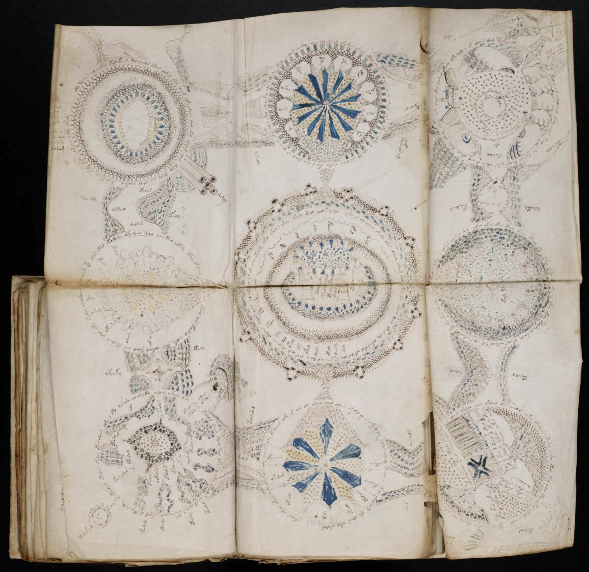 Unveiling the Enigma: The Mysterious Voynich Manuscript | Light Wave